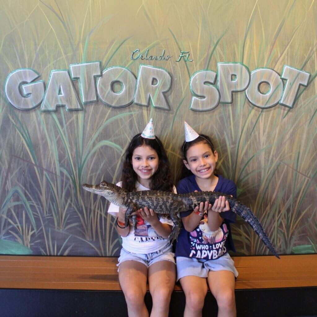 Gator Spot | Live Gators In Orlando